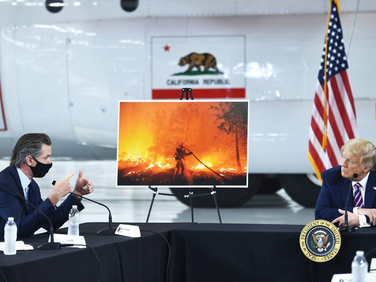 POC Fund | Make a new perspective